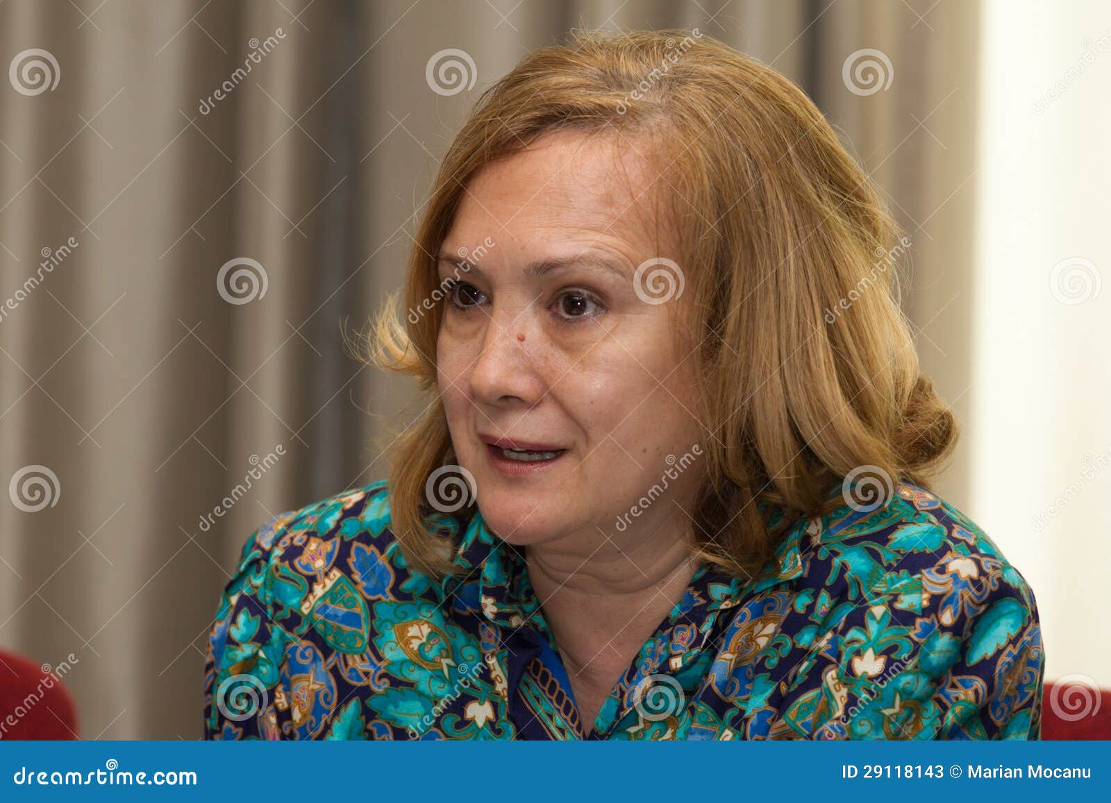 Ana Maria Mihaiescu redactionele stock foto. Image of pers - 29118143