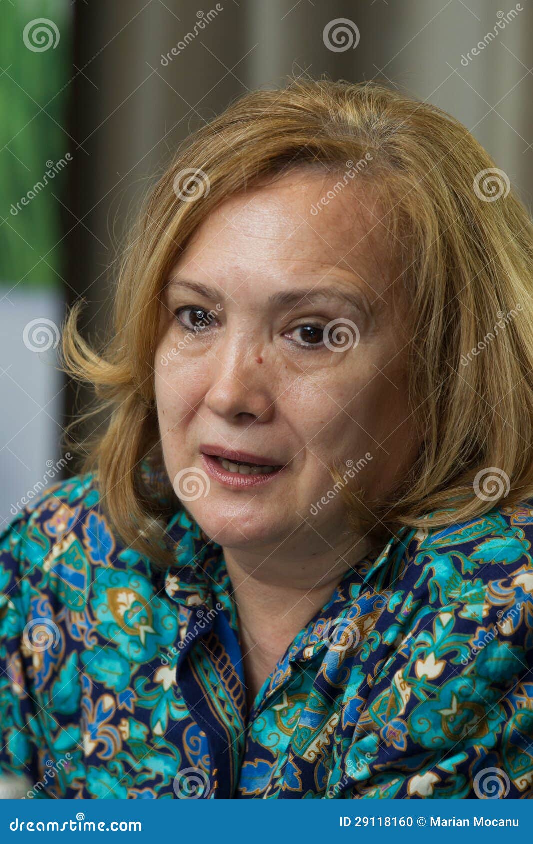 Ana Maria Mihaiescu editorial image. Image of press, conference - 29118160
