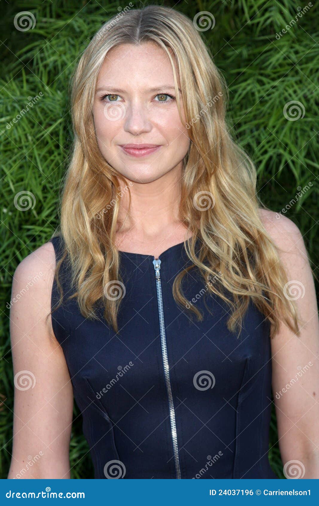 Ana Torv foto editorial. Imagen de llegar, burro, saturno - 24037196