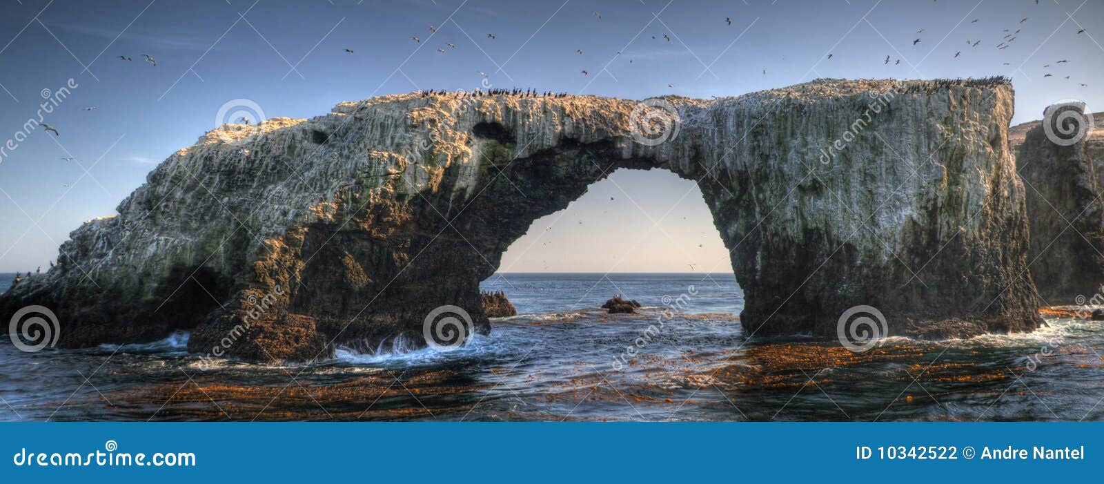 Anacapa Island stock photo. Image of ocean, states, seabirds - 10342522