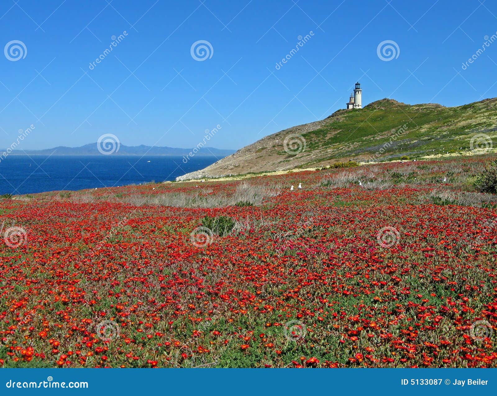 Anacapa Lighthouse Panorama Stock Image - Image of horn, peace: 5133087