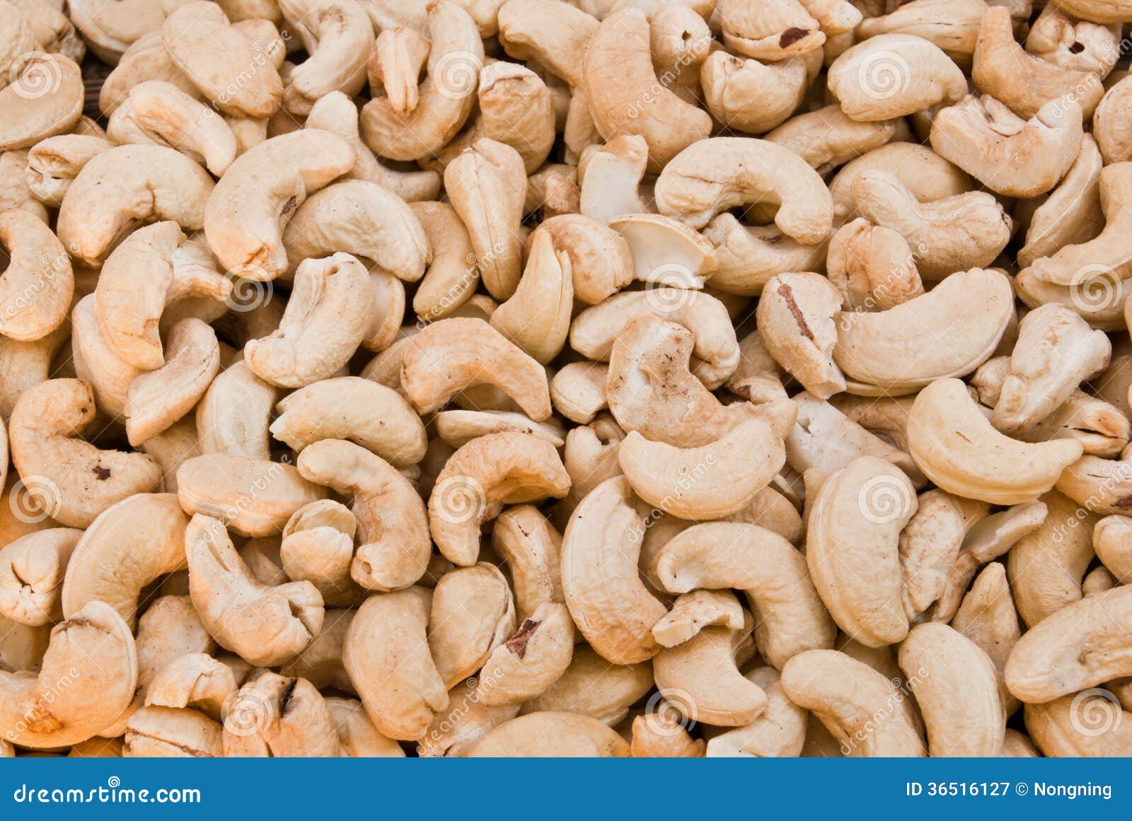 Anacardos imagen de archivo. Imagen de anacardo, germen - 36516127
