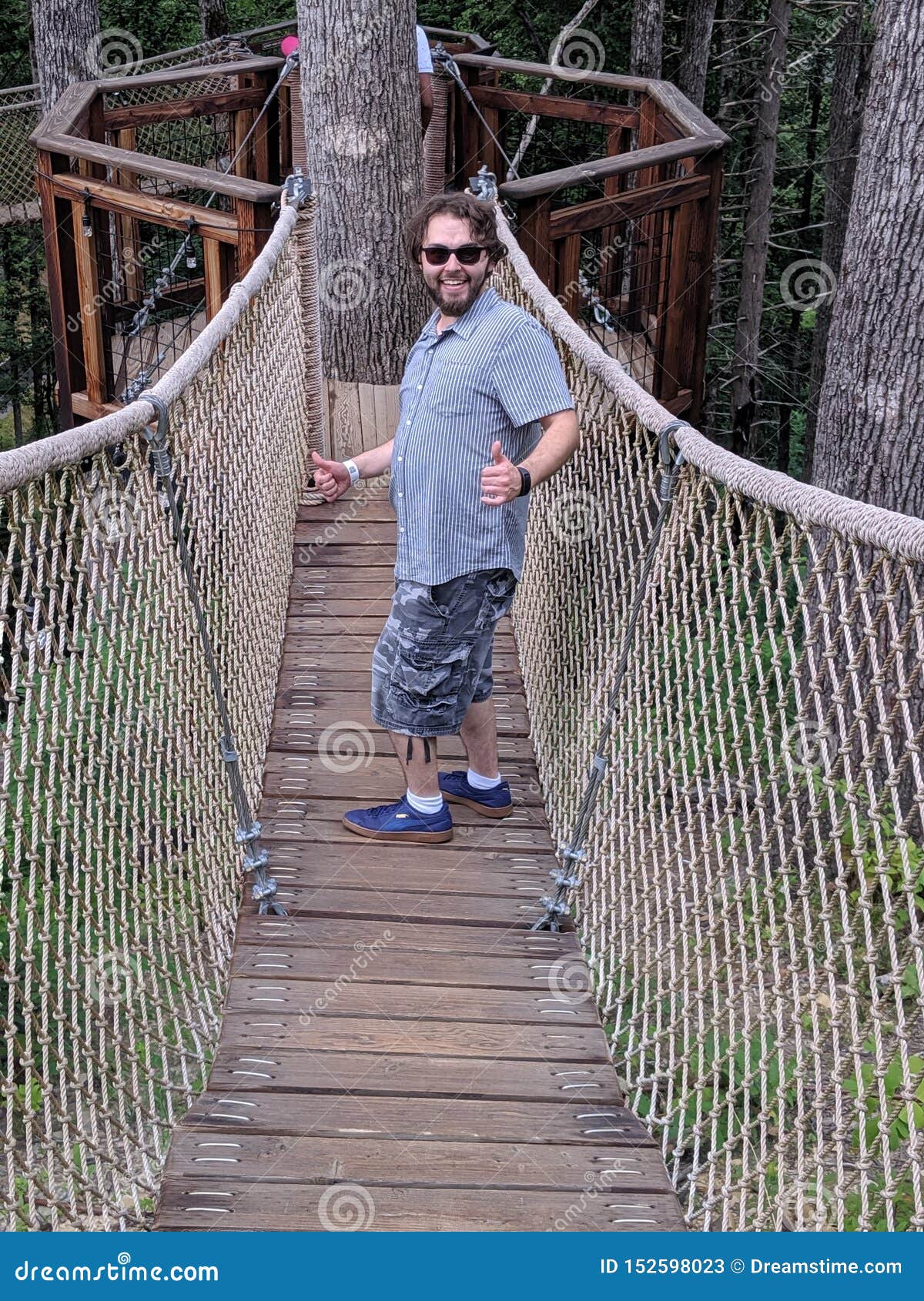 Tree Top Walk Stock Photography | CartoonDealer.com #13449824