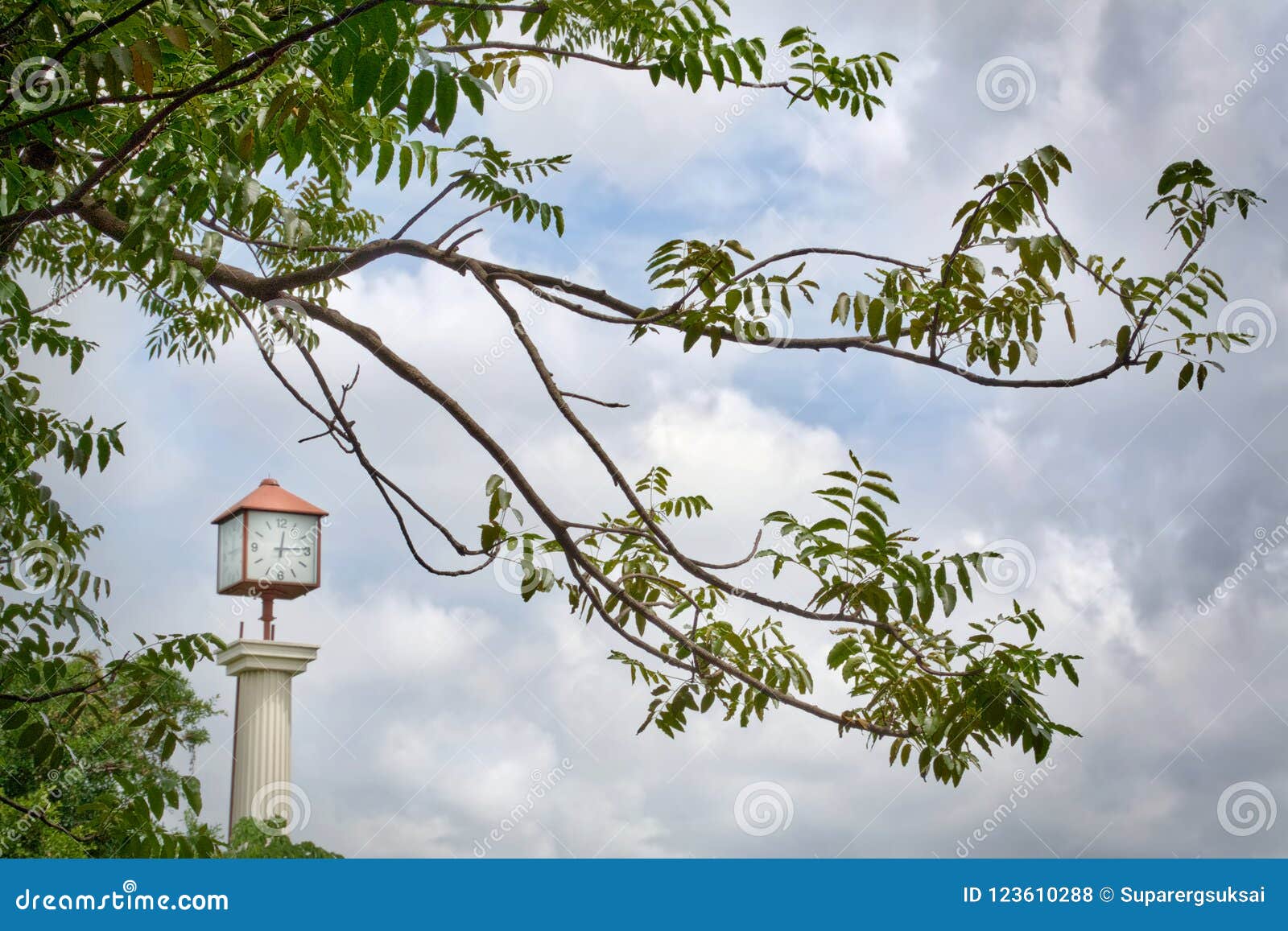 Analog Clock Tower through Tree Branches Against Cloudy Sky Stock Photo ...