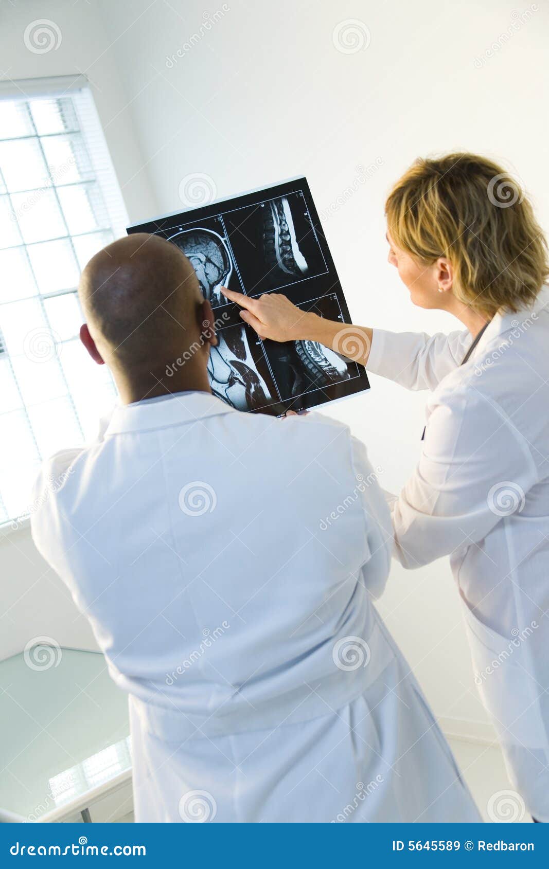 Analyse de rayon X image stock. Image du caucasien, clinique - 5645589