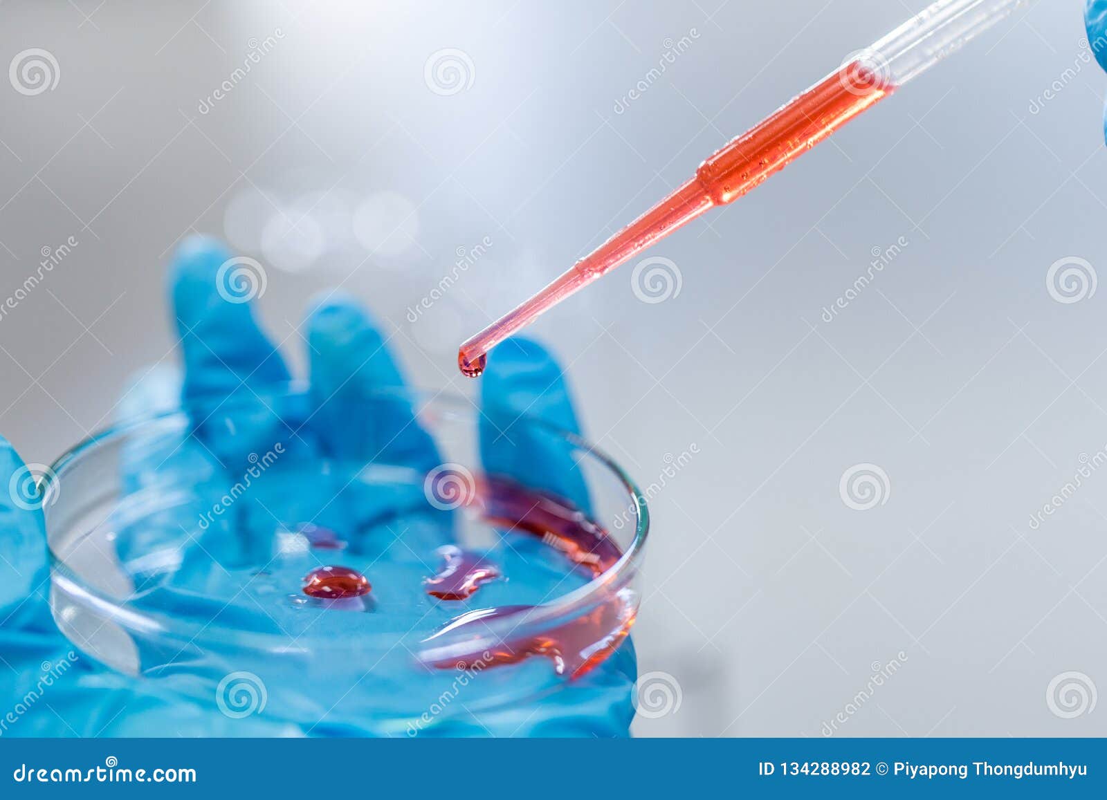 Analyse Et Analyse Chimique Biochimiques Dans Le Laboratoire Photo ...