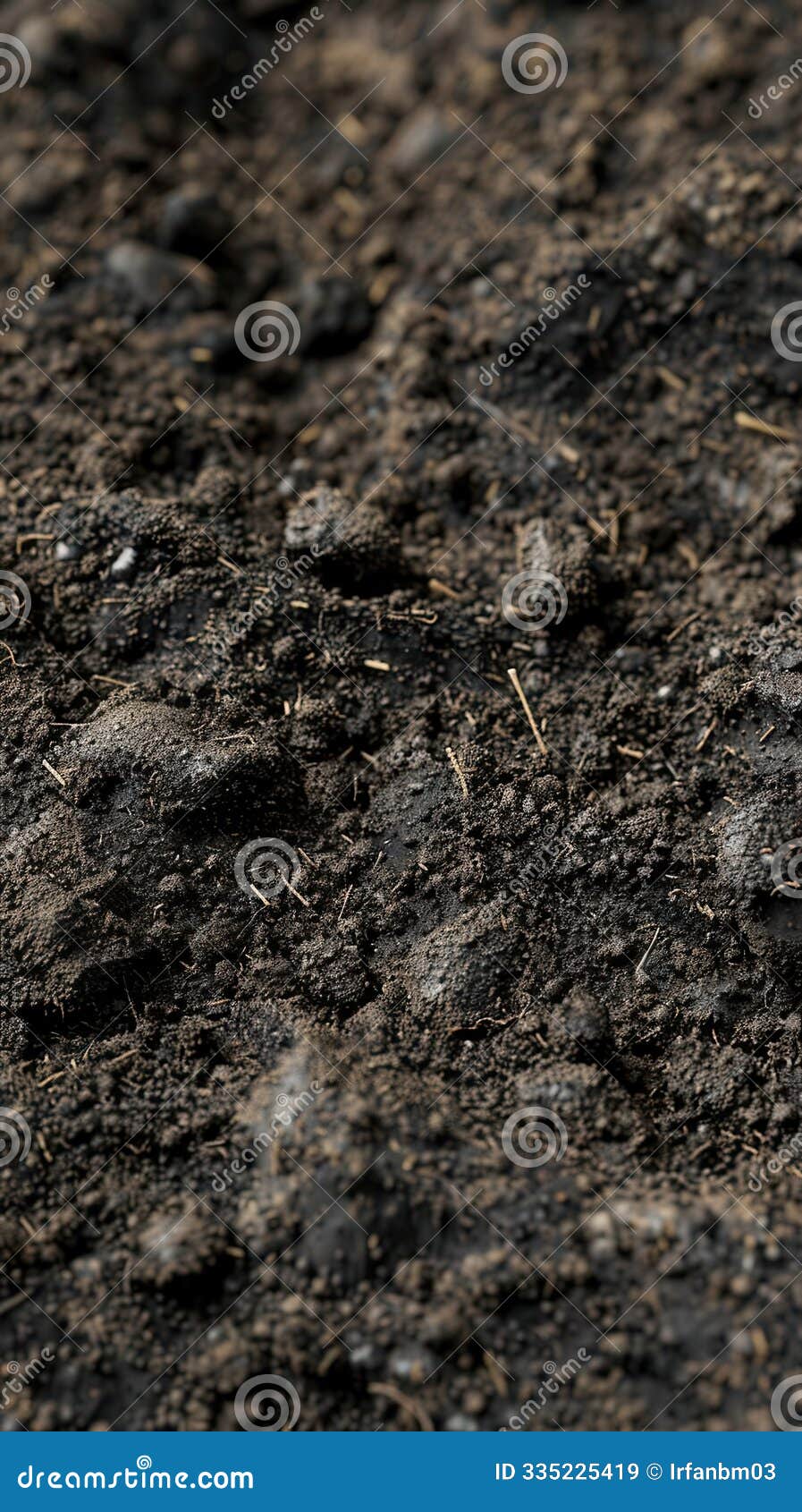 Analysis of Compacted Soil Texture. 9. Texture and Structure Concept ...