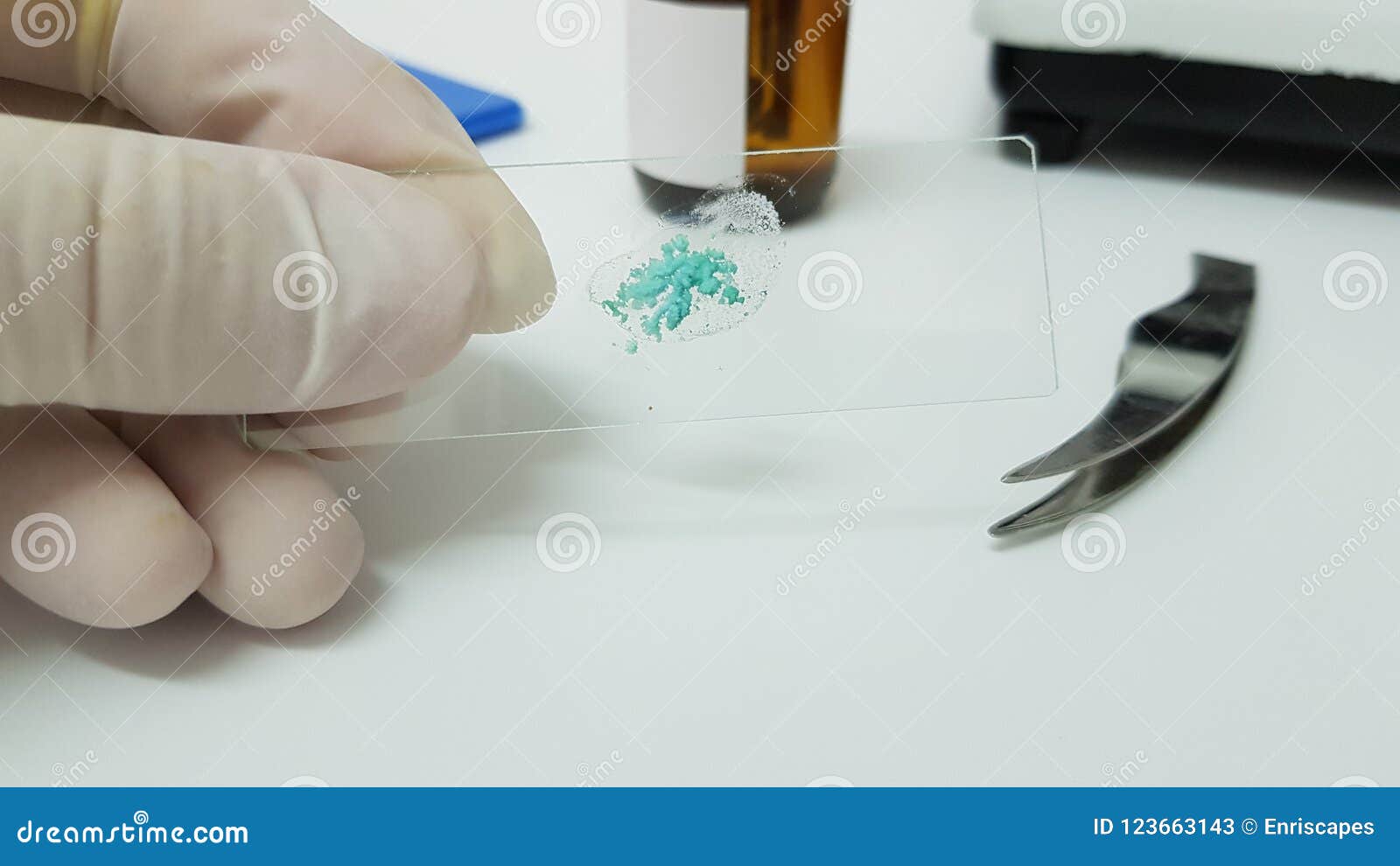 Analysis of Microbiological Sample Stock Image - Image of chemistry ...