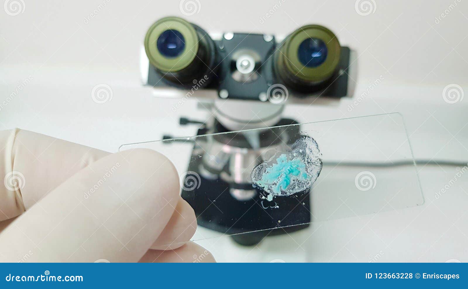 Analysis of Microbiological Sample Stock Photo - Image of closeup ...