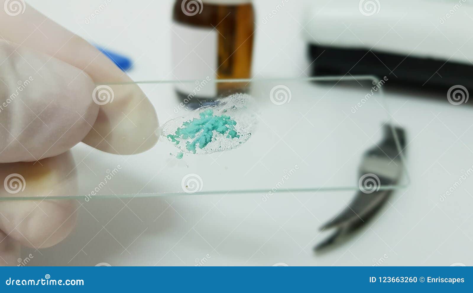 Analysis of Microbiological Sample Stock Photo - Image of liquid ...