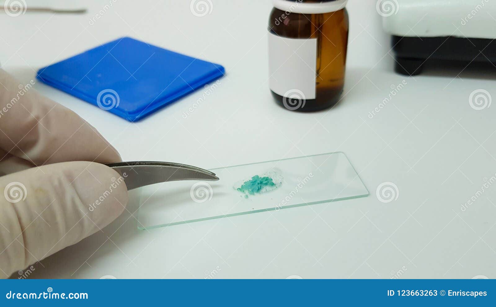 Analysis of Microbiological Sample Stock Image - Image of test, closeup ...
