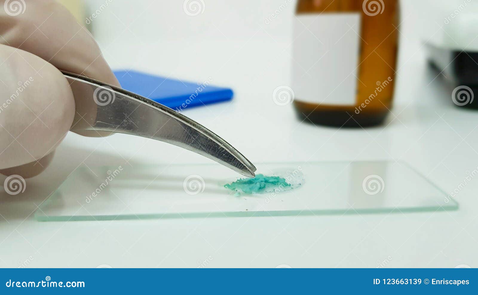 Analysis of Microbiological Sample Stock Image - Image of closeup ...