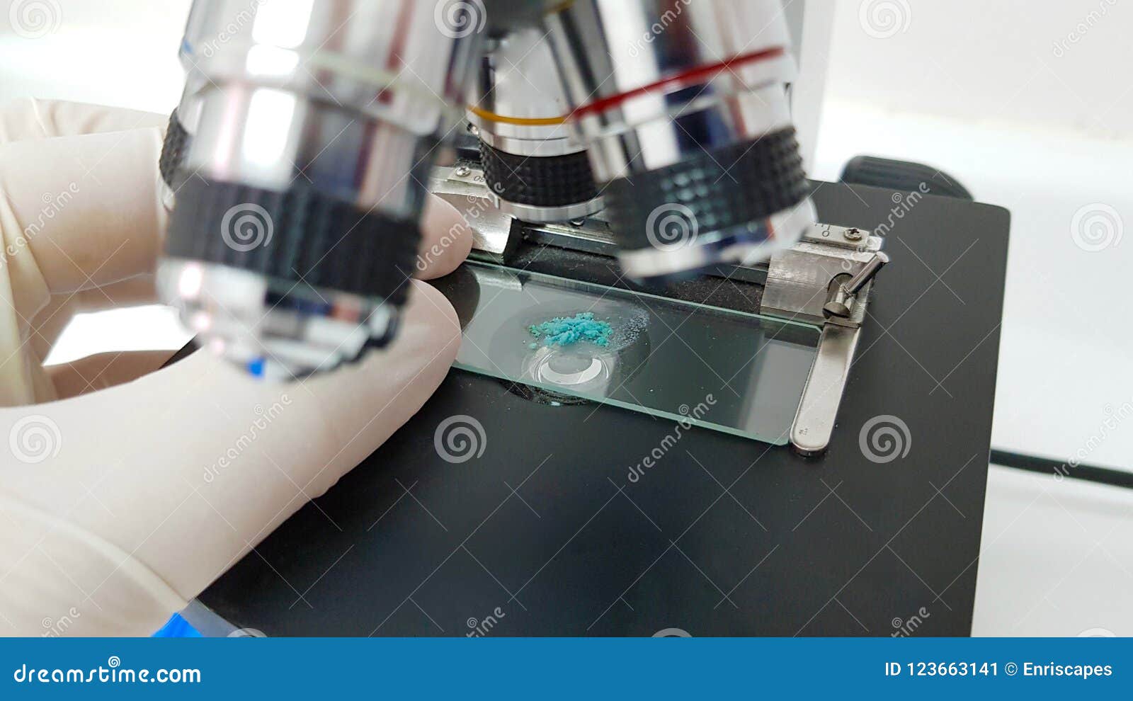 Analysis of Microbiological Sample Stock Image - Image of microscope ...