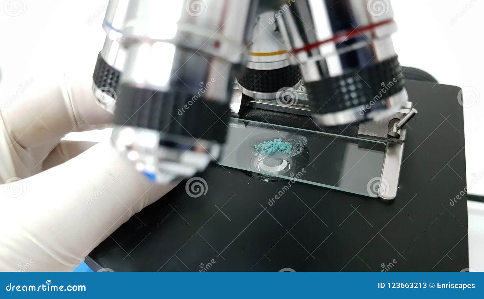 Analysis of Microbiological Sample Stock Image - Image of sample ...