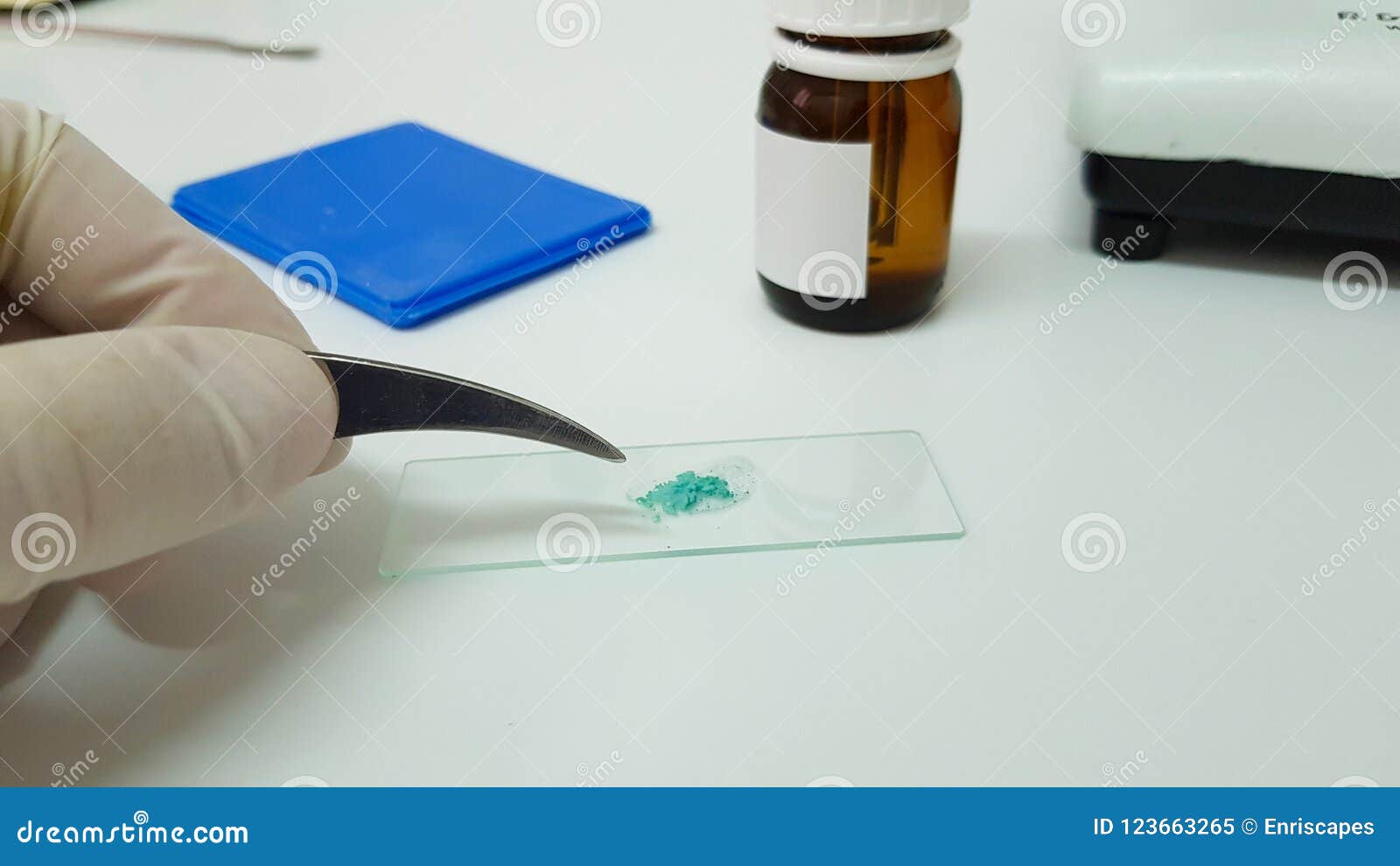 Analysis of Microbiological Sample Stock Image - Image of scientists ...