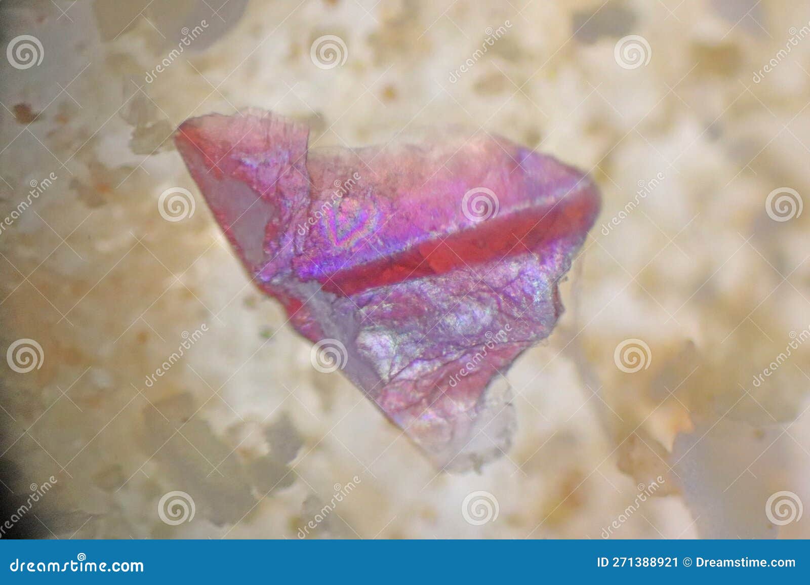 Analysis of Microplastic Waste Contaminated in Soils and Water. Stock ...