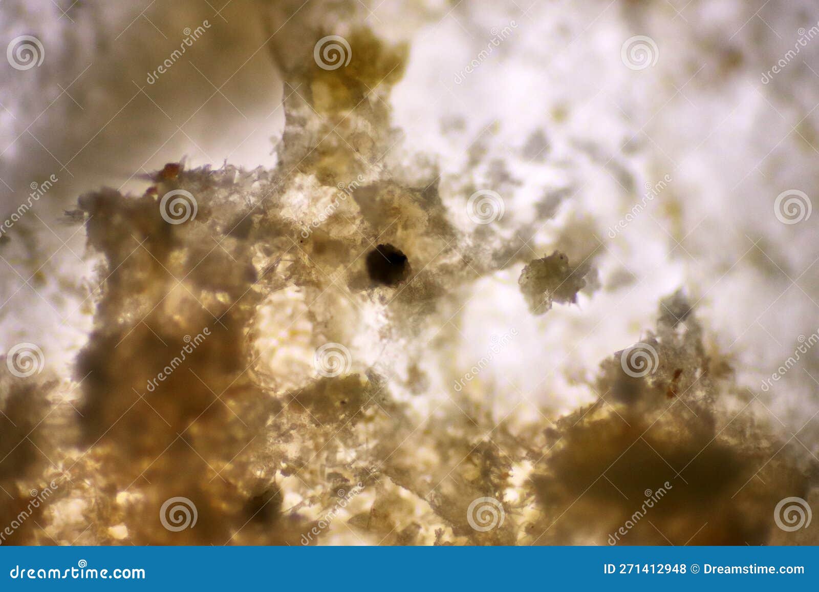 Analysis Morphology of Microplastic Waste Contaminated in Soil and ...