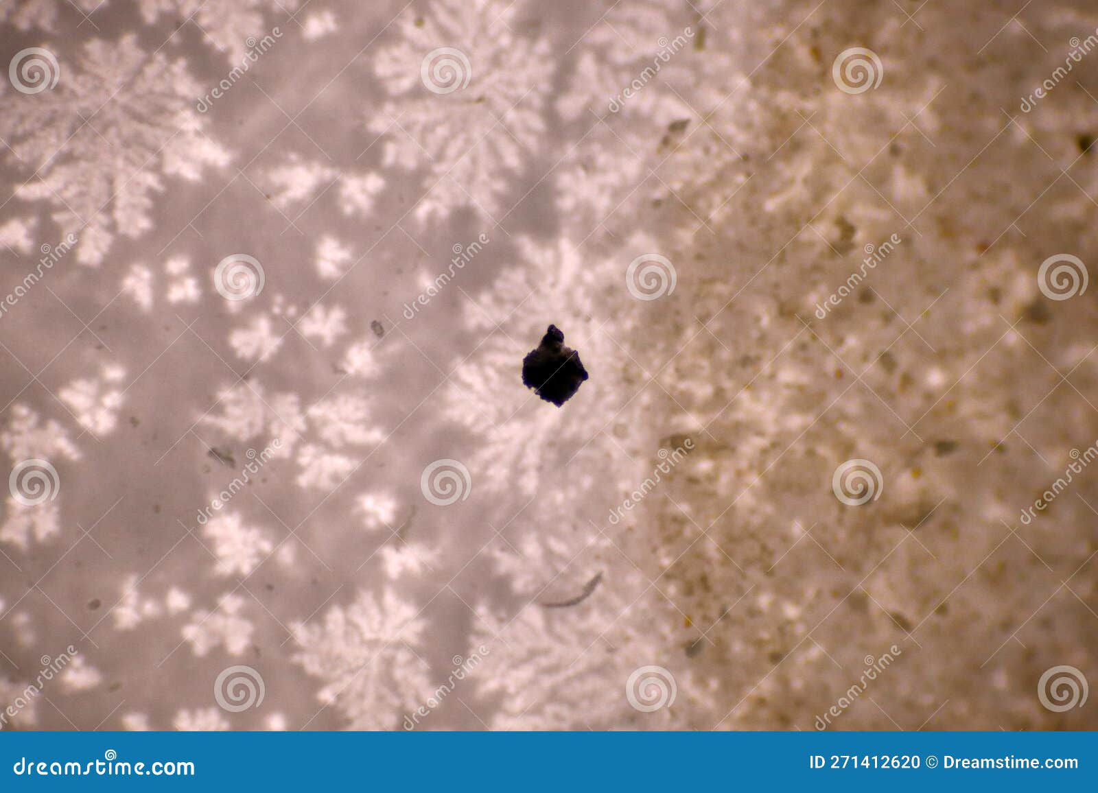 Analysis Morphology of Microplastic Waste Contaminated in Soil and ...