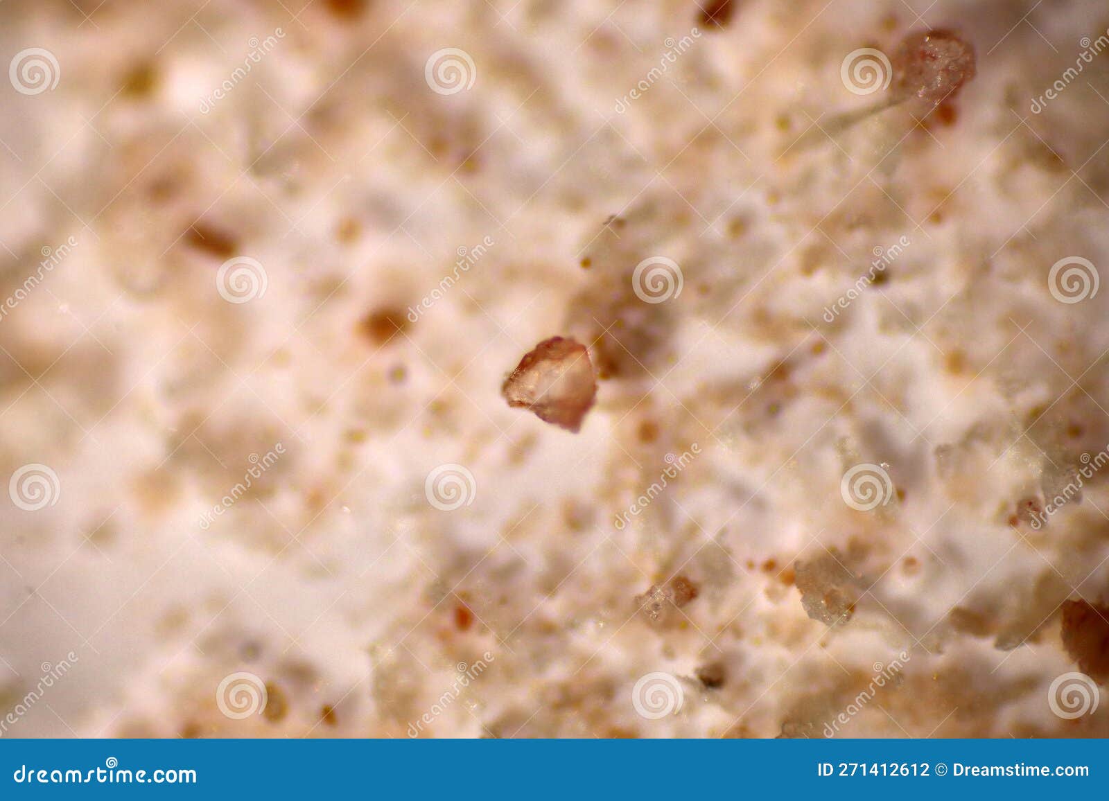 Analysis Morphology of Microplastic Waste Contaminated in Soil and ...