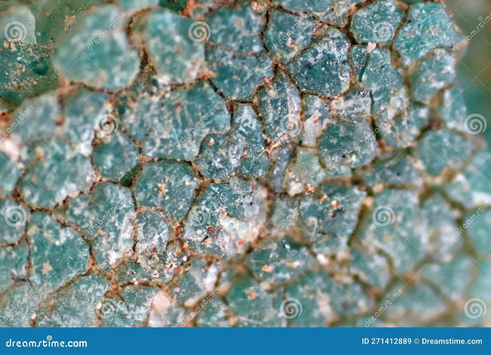 Analysis Morphology of Microplastic Waste Contaminated in Soil and ...