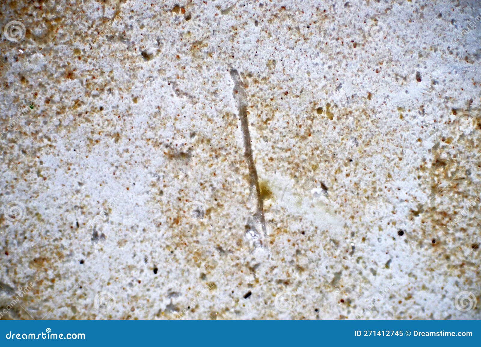 Analysis Morphology of Microplastic Waste Contaminated in Soil and ...