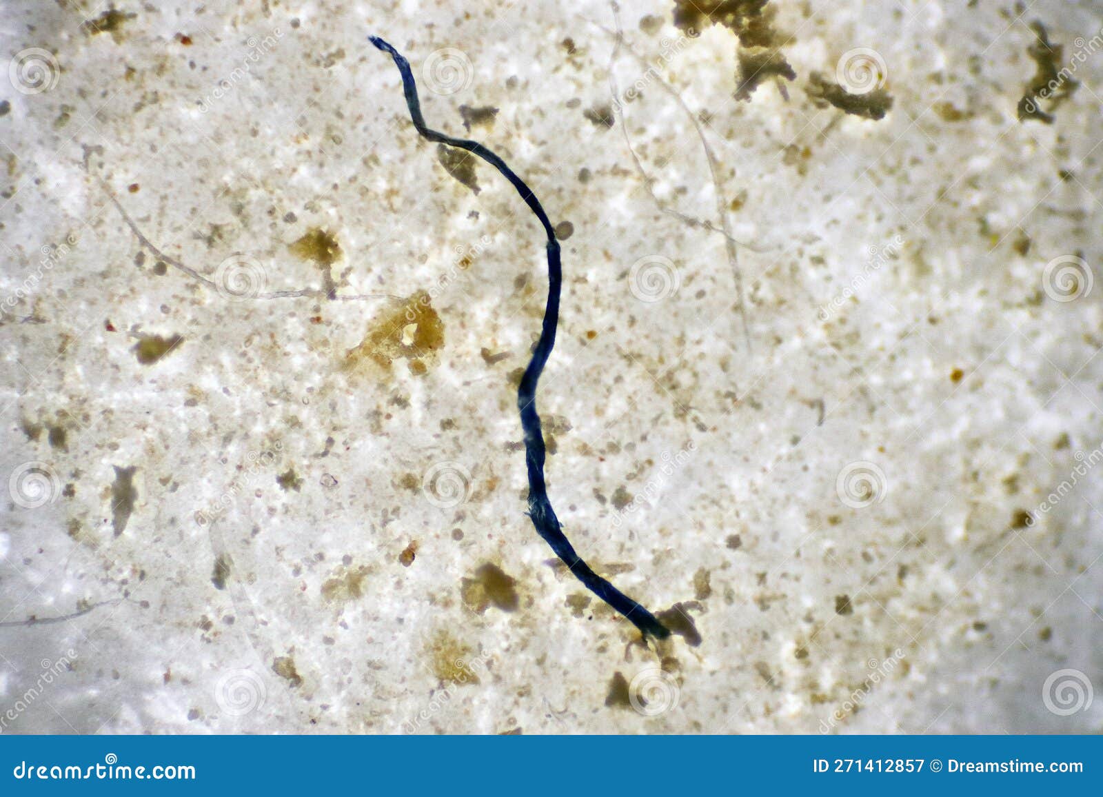 Analysis Morphology of Microplastic Waste Contaminated in Soil and ...
