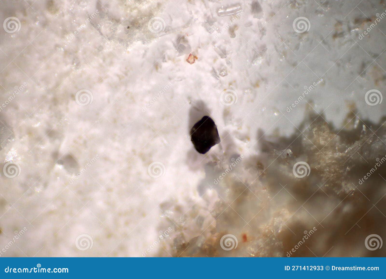 Analysis Morphology of Microplastic Waste Contaminated in Soil and ...