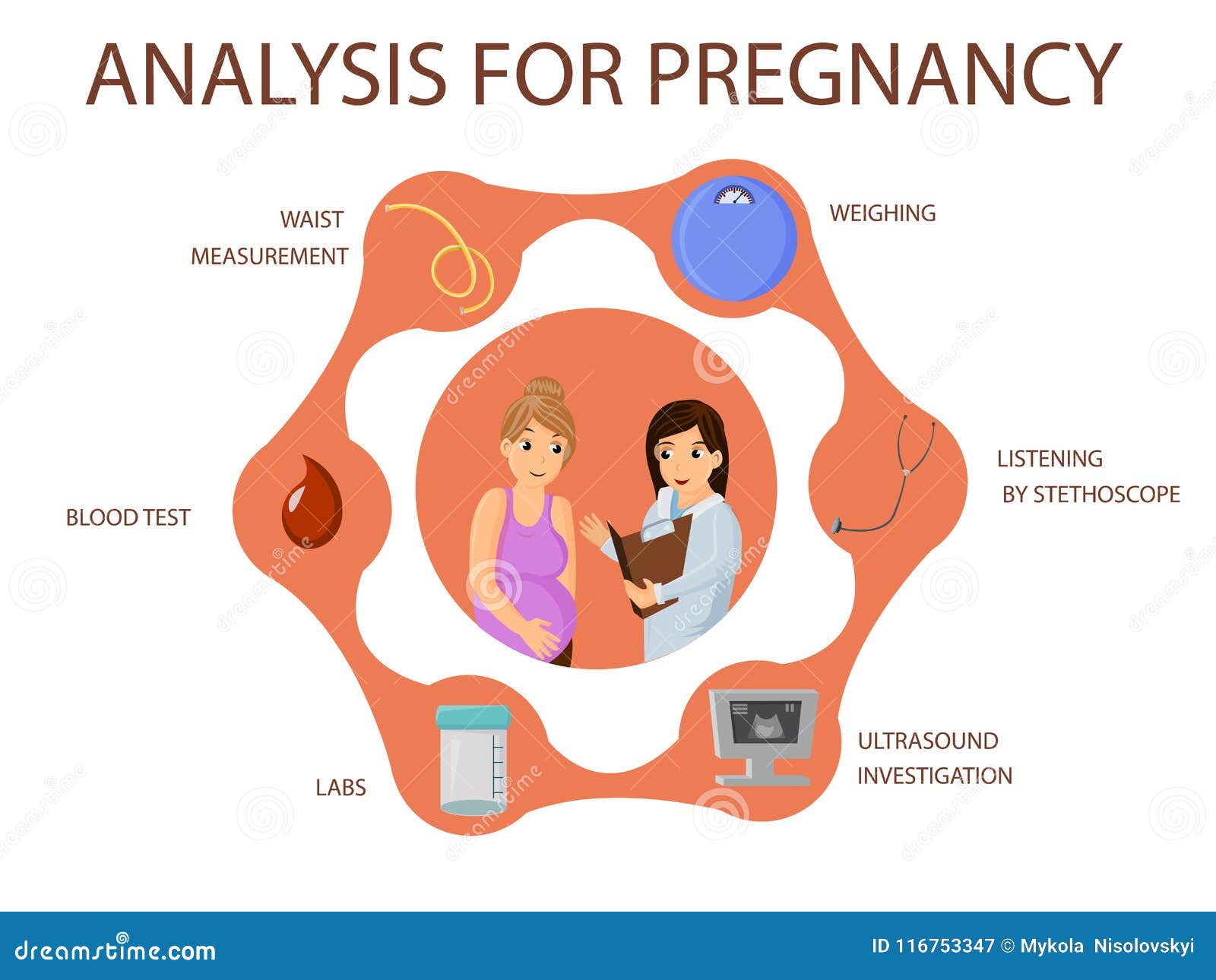Analysis for Pregnancy. Vector Image Stock Vector - Illustration of ...