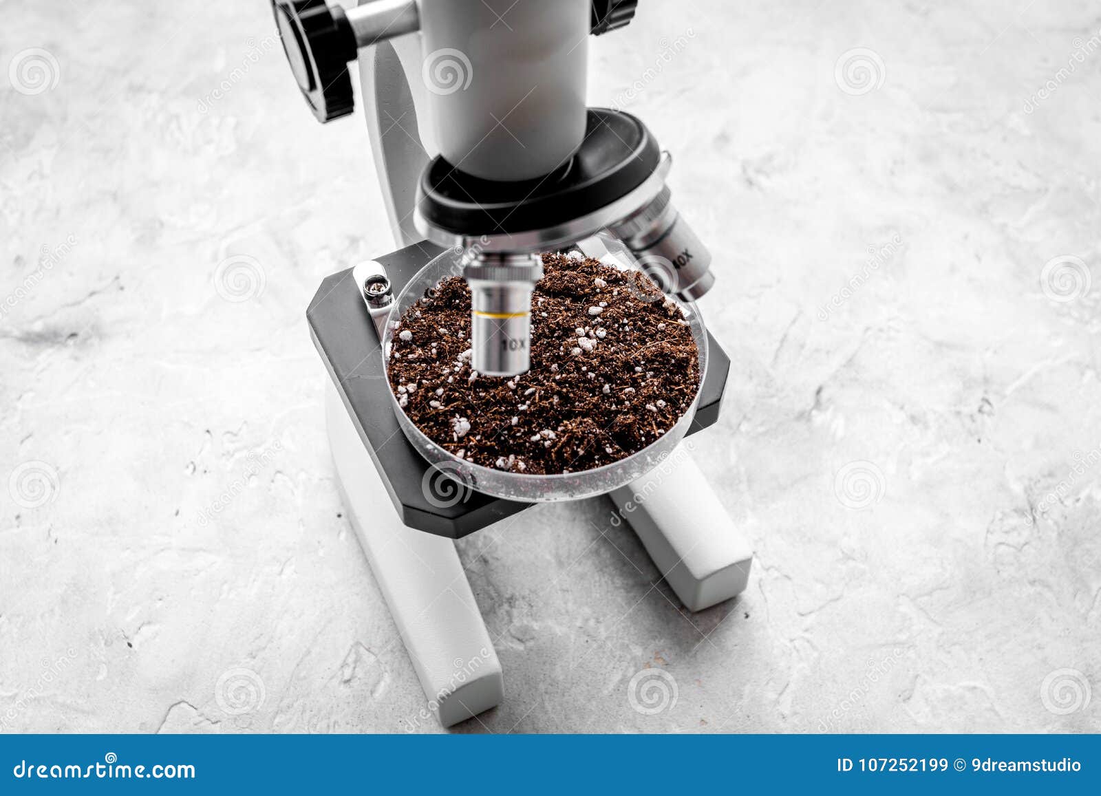Analysis Process. Soil Under Microscope on Grey Background Stock Image ...