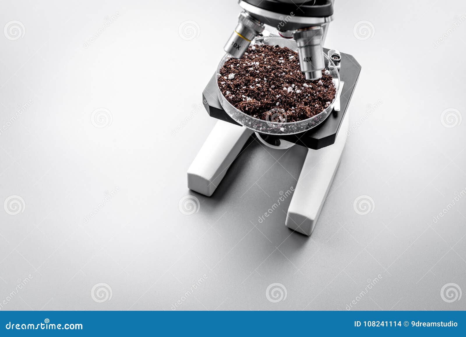 Analysis Process. Soil Under Microscope on Grey Background Stock Photo ...