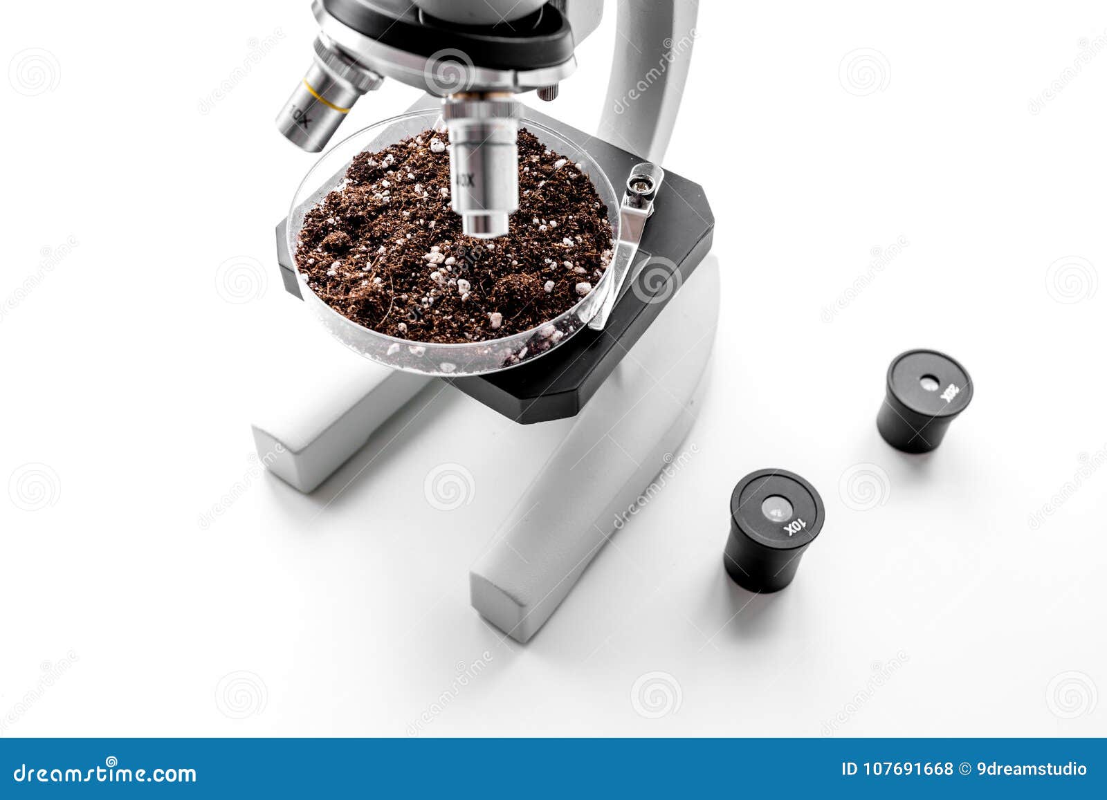 Analysis Process. Soil Under Microscope on White Background Stock Photo ...
