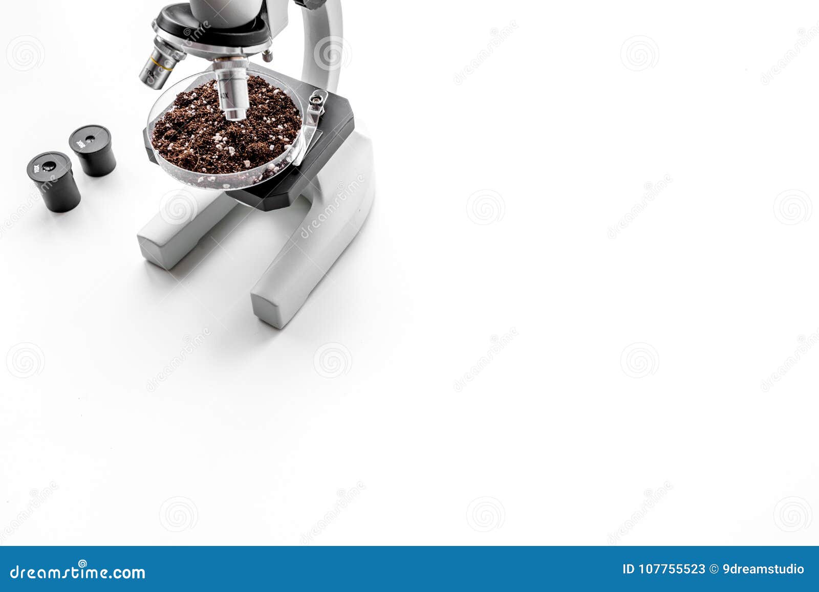 Analysis Process. Soil Under Microscope on White Background Copy Space ...