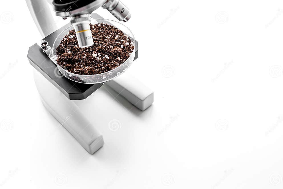 Analysis Process. Soil Under Microscope on White Background Copyspace ...