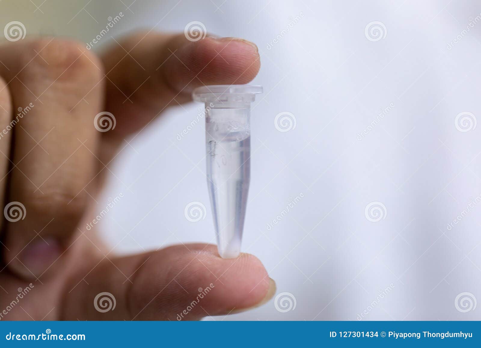 Analysis Protein for Study in Laboratory. Stock Photo - Image of ...