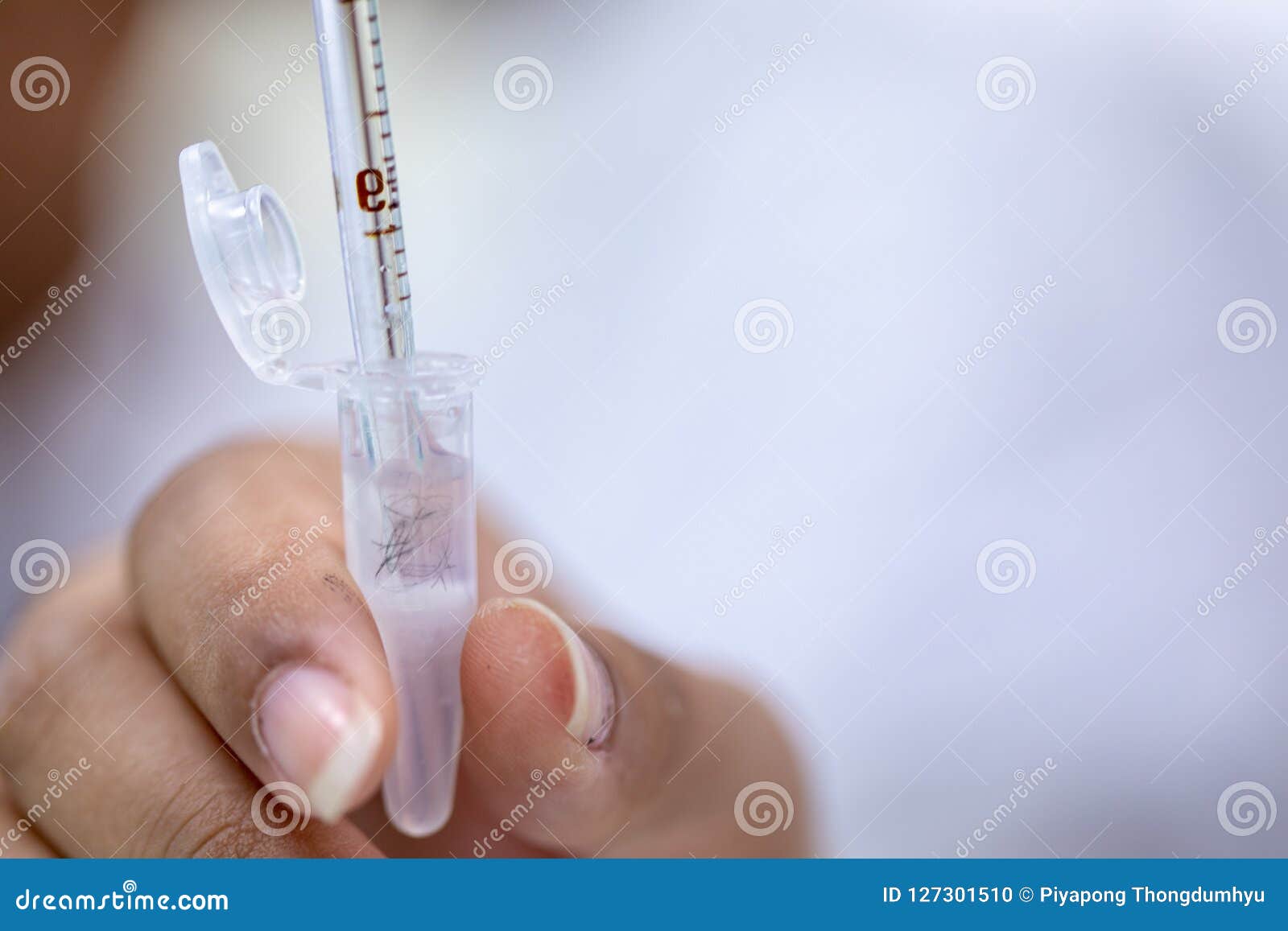 Analysis Protein for Study in Laboratory. Stock Photo - Image of ...