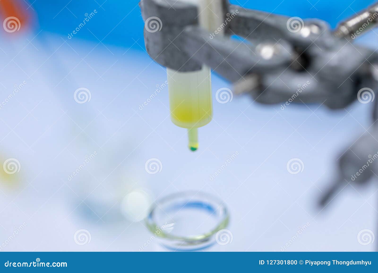 Analysis Protein for Study in Laboratory. Stock Photo - Image of ...