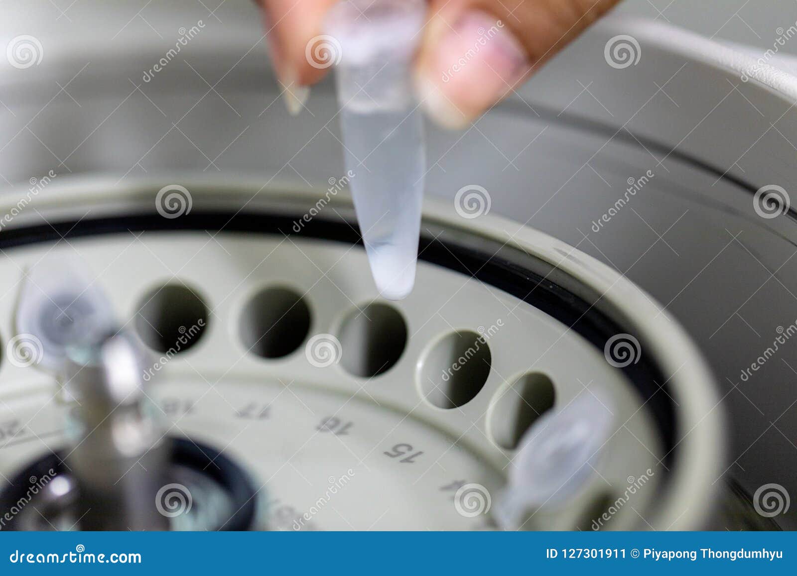 Analysis Protein for Study in Laboratory. Stock Image - Image of food ...