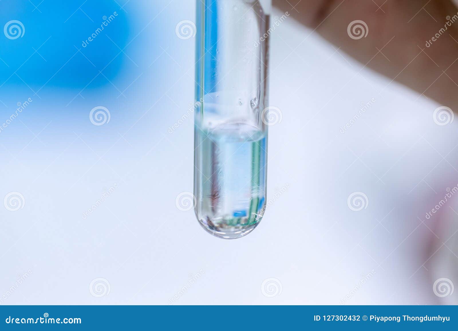 Analysis Protein for Study in Laboratory. Stock Photo - Image of liquid ...