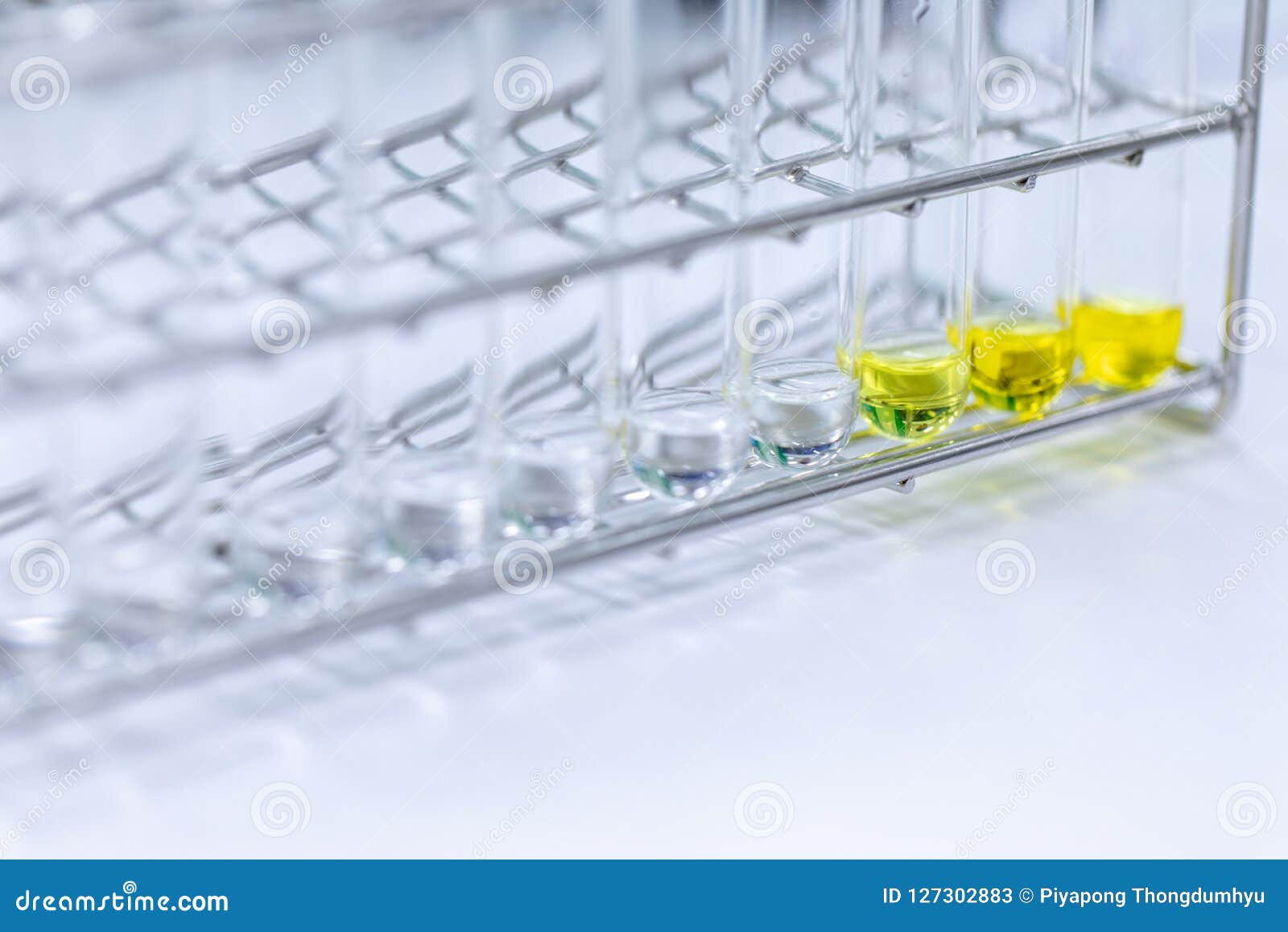 Analysis Protein for Study in Laboratory. Stock Image - Image of ...