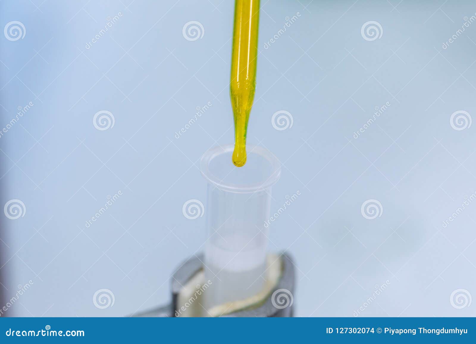 Analysis Protein for Study in Laboratory. Stock Photo - Image of ...