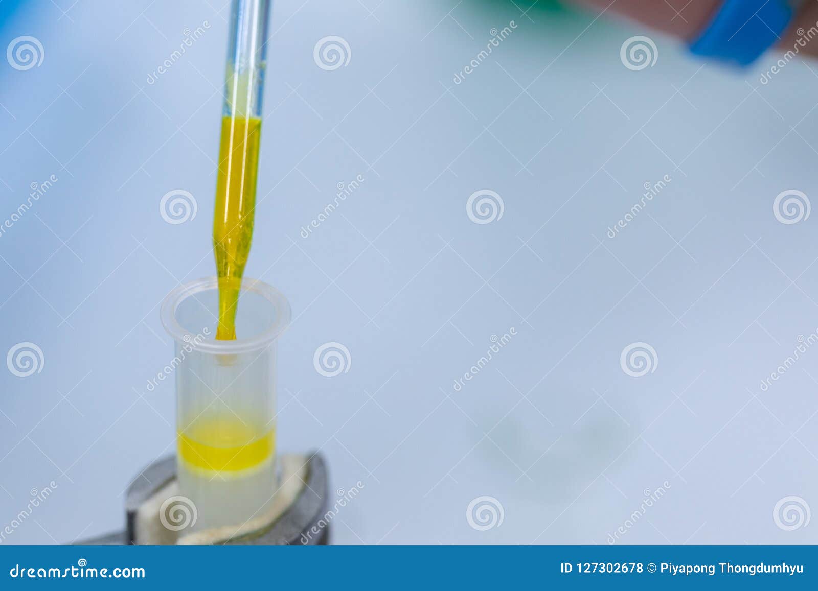 Analysis Protein for Study in Laboratory. Stock Photo - Image of health ...