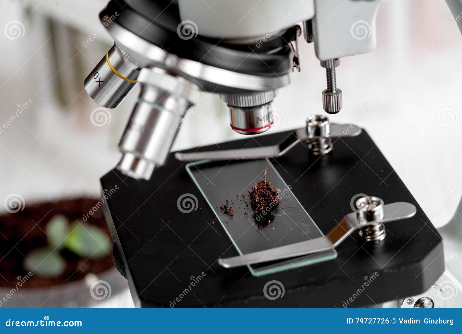 Analysis of Soil Samples Under Microscope Stock Photo - Image of test ...