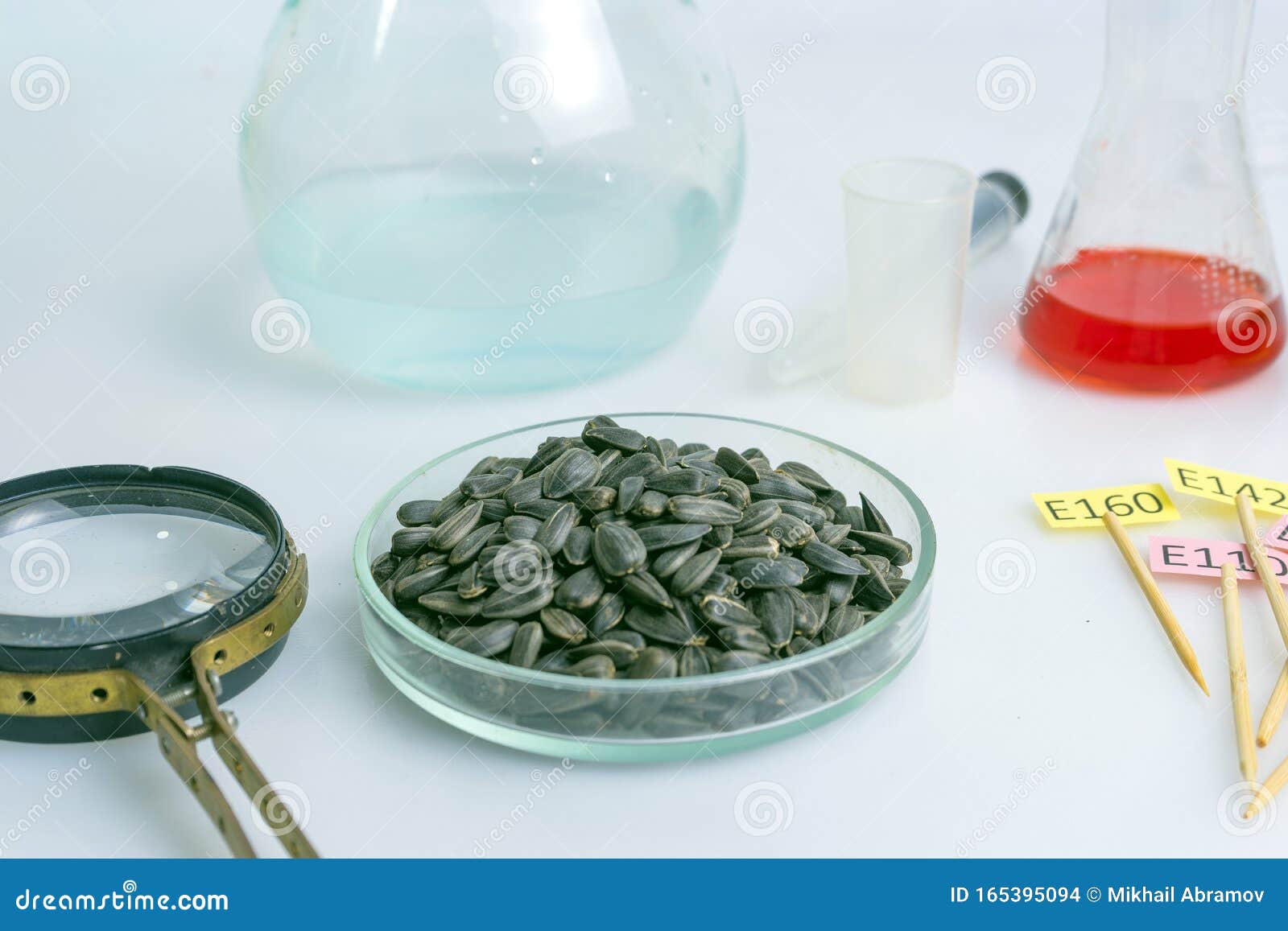 Analysis of Sunflower Seeds. Laboratory Research. View from Above ...