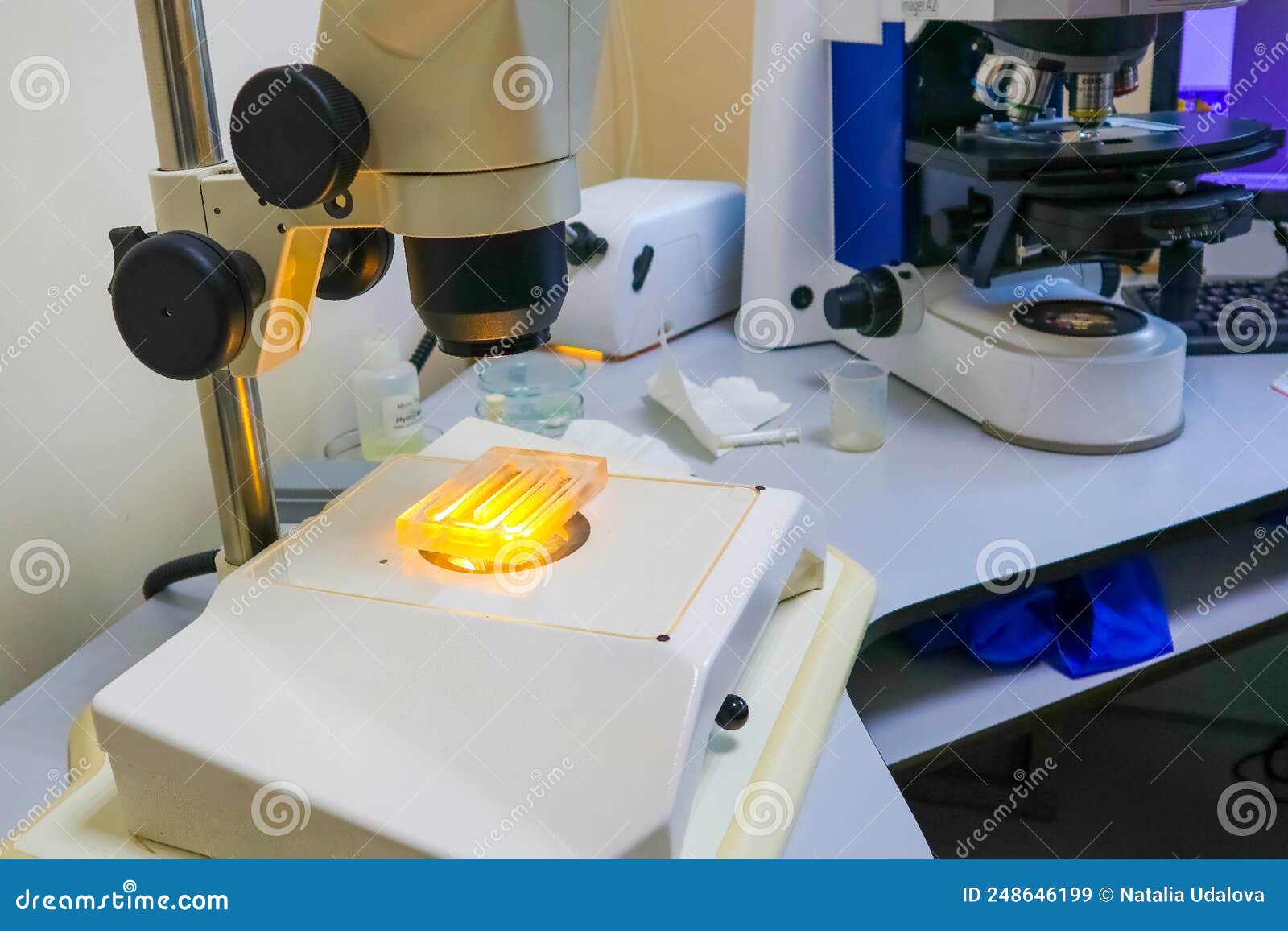 Analysis Under a Microscope. Working in the Laboratory Stock Image ...