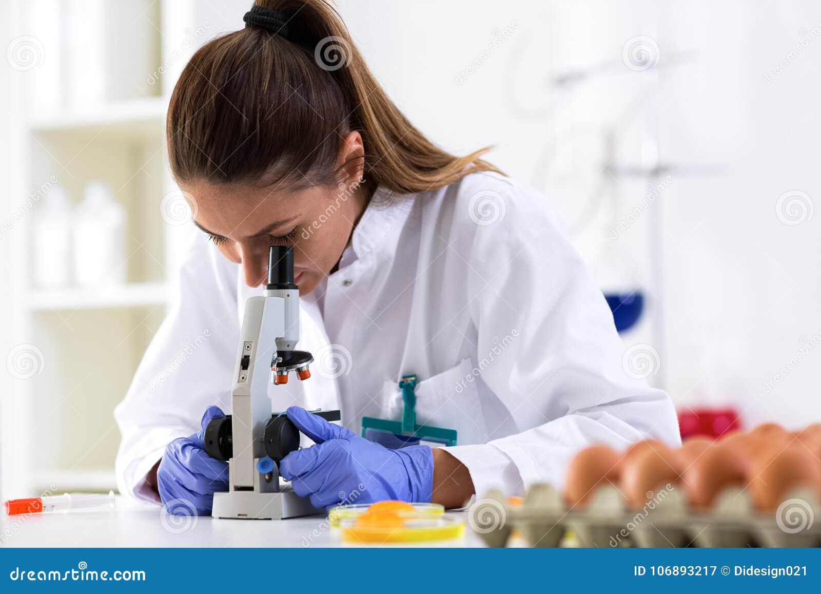 Analyze Egg Sample, Control Quality at Laboratory Stock Image - Image ...