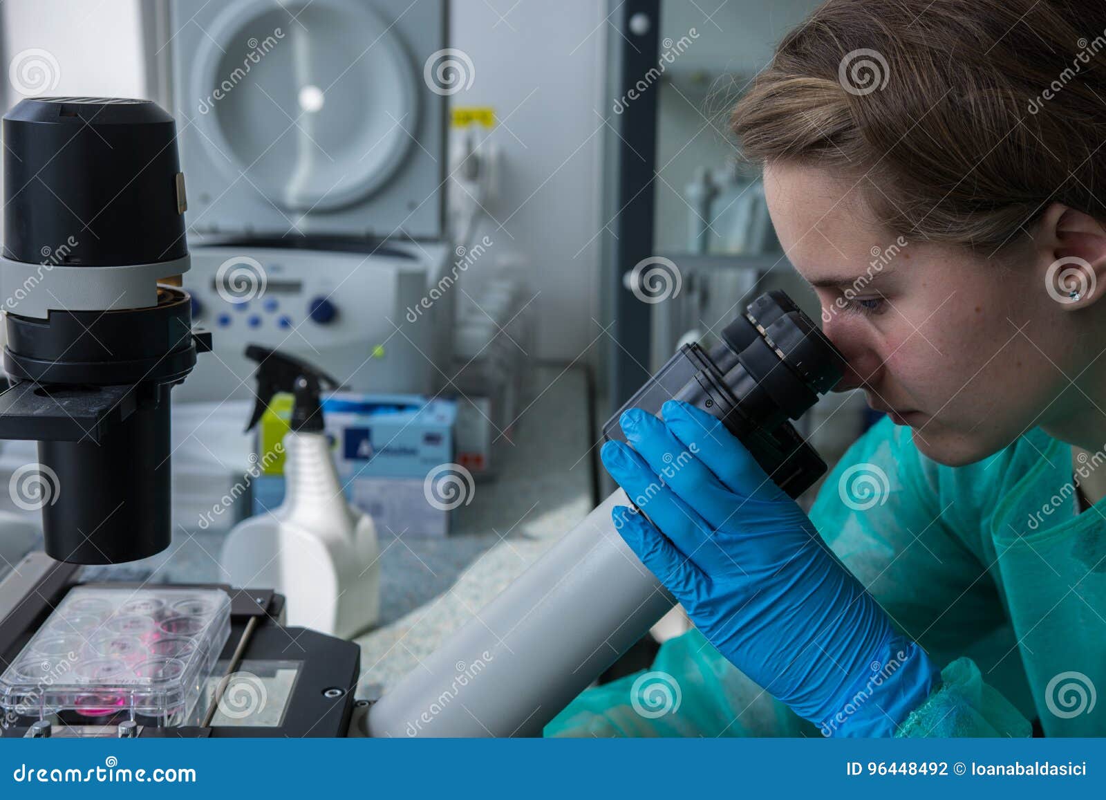 Analyzing Results of Experiment in Laboratory Stock Photo - Image of ...