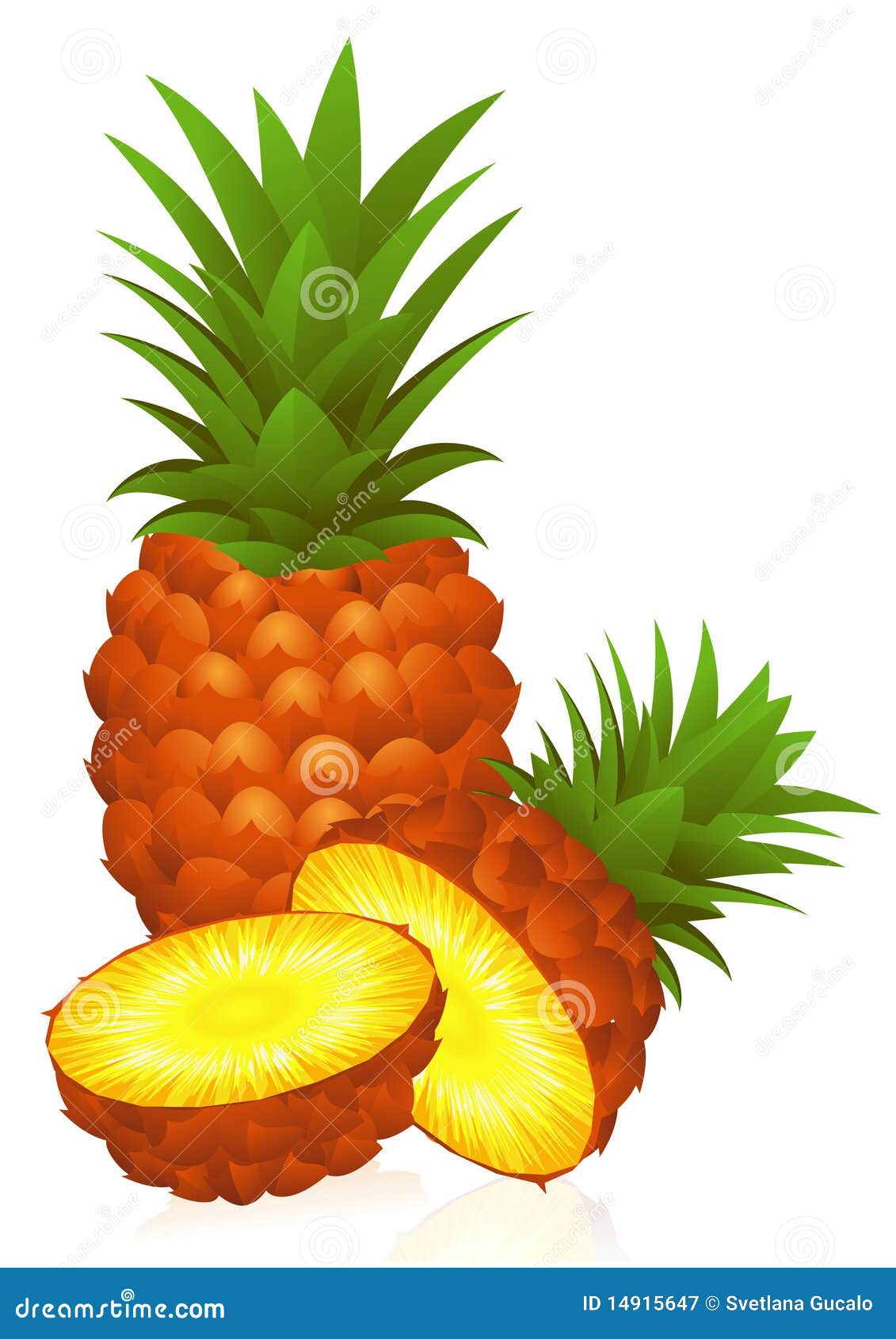 Ananás ilustração do vetor. Ilustração de fatia, material - 14915647
