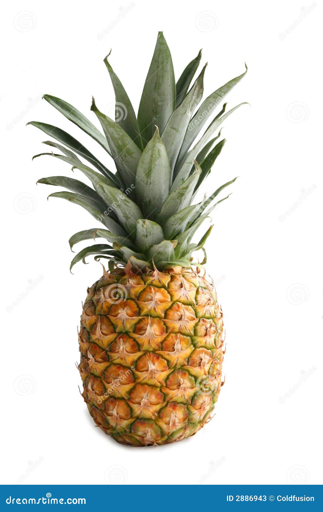 Ananás. Frutas deliciosas, imagem de stock. Imagem de fruta - 2886943