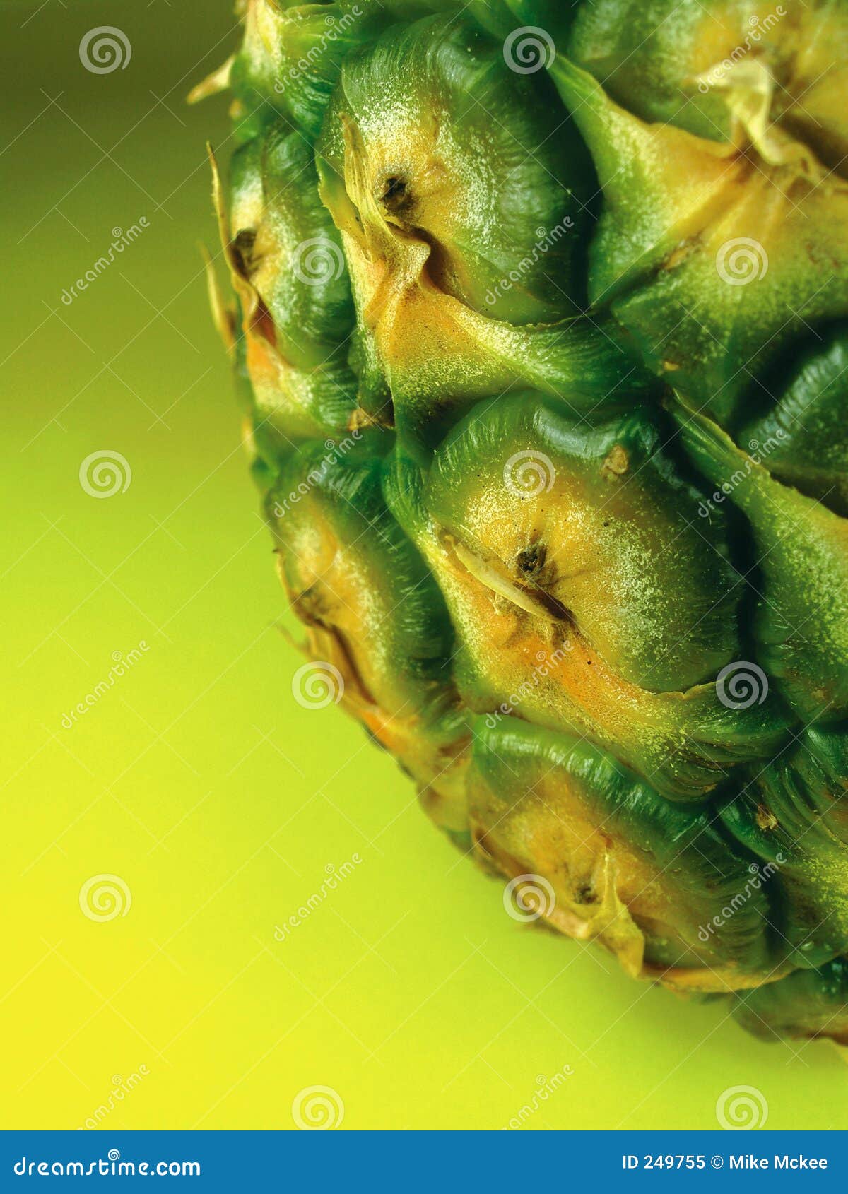 Ananas 1 image stock. Image du frais, tropical, fruits - 249755