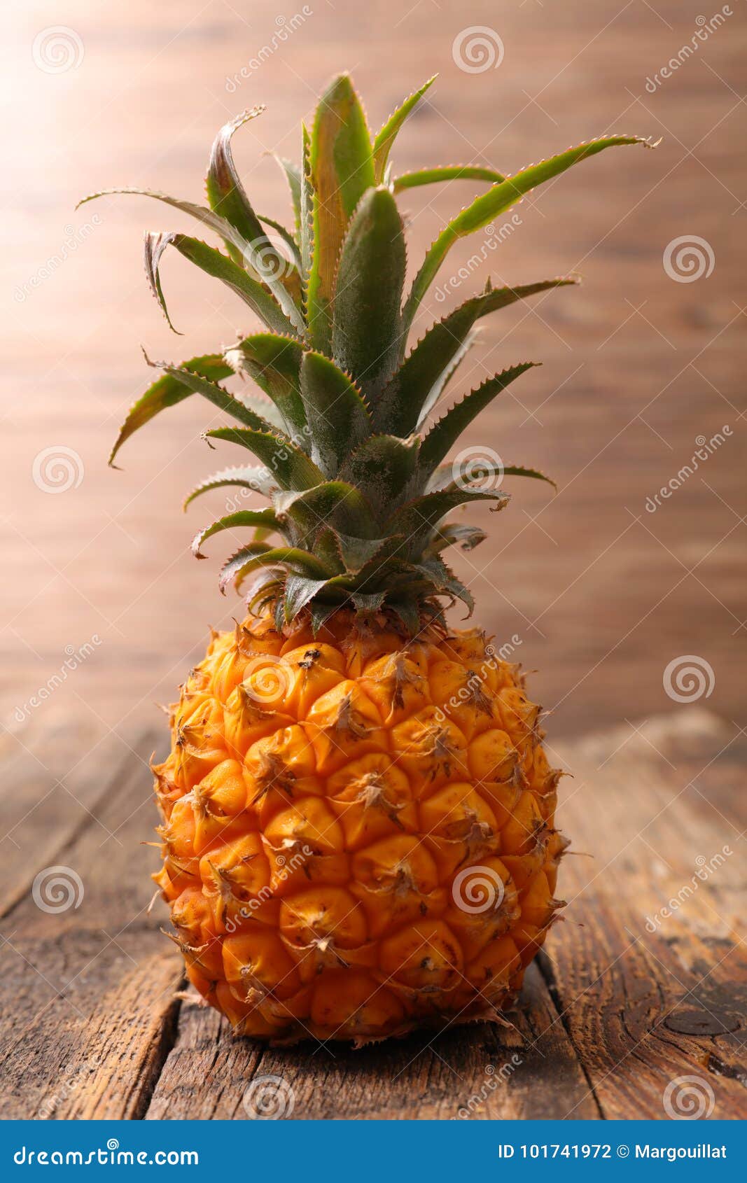 Ananas photo stock. Image du fond, exotique, ananas - 101741972